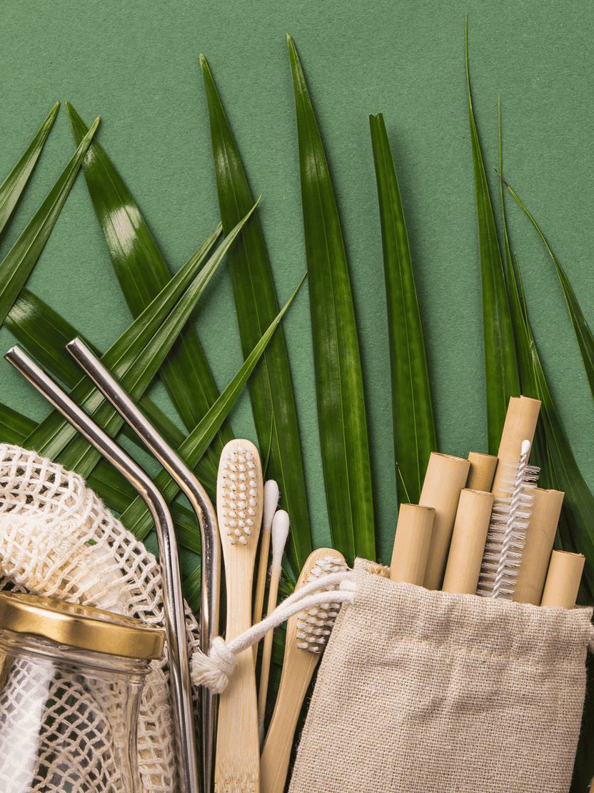 Tienda de productos Ecológicos – Verde Pluma